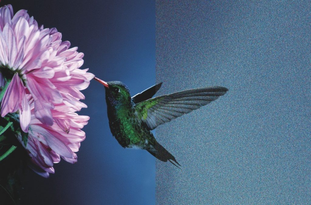Fundamentals Of Image Processing Systems Edge AI And Vision Alliance