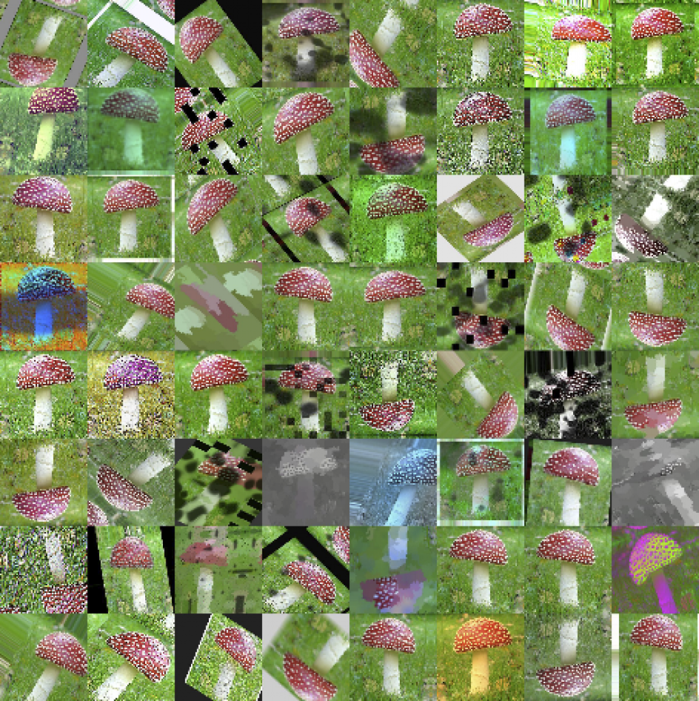 Data Sets for Machine Learning Model Training - Edge AI and Vision Alliance