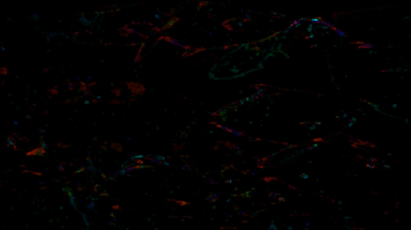 Data Sets for Machine Learning Model Training - Edge AI and Vision Alliance