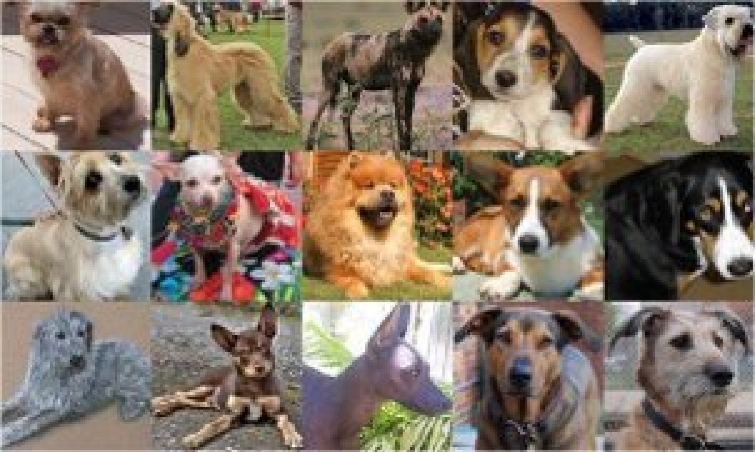 ImageNet: The Benchmark that Changed Everything - Edge AI and Vision ...