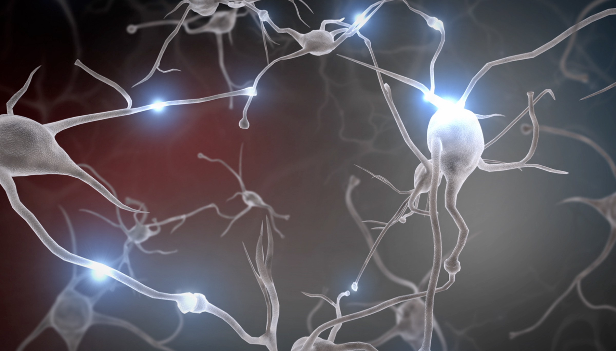 The Next Phase of Deep Learning: Neural Architecture Learning Leads to ...