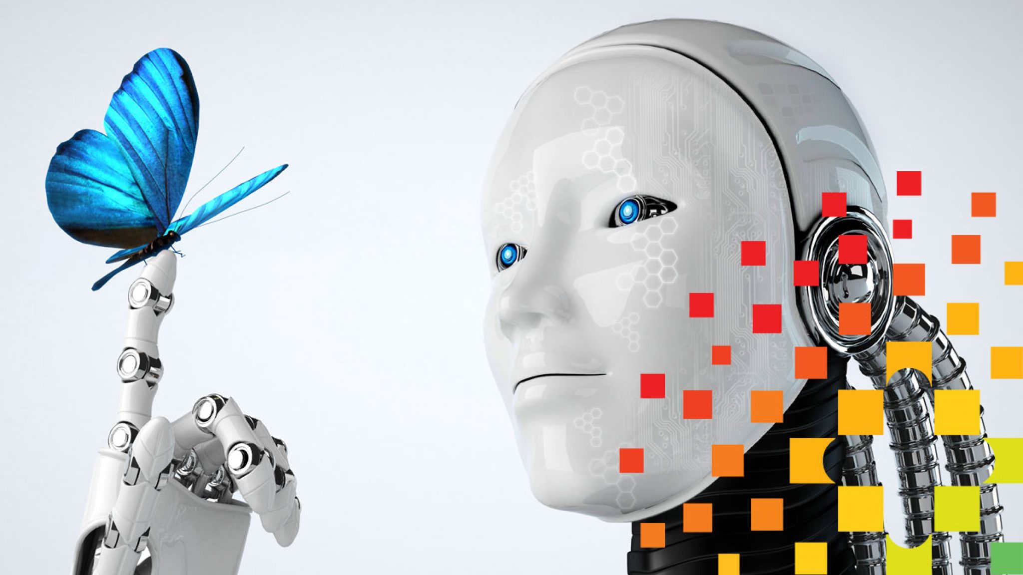 Ambarella Enables Artificial Intelligence on a Wide Range of Connected ...