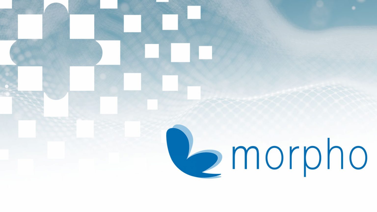 Morpho - Edge AI and Vision Alliance