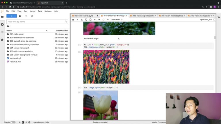 Intel Demonstration of Write Once, Deploy Anywhere with OpenVINO - Edge AI and Vision Alliance