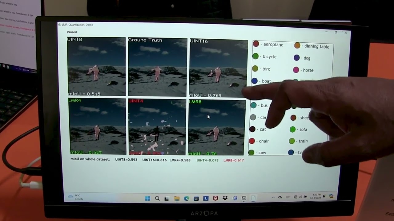 Lemur Imaging Demonstration of High Quality Compression Compared to ...