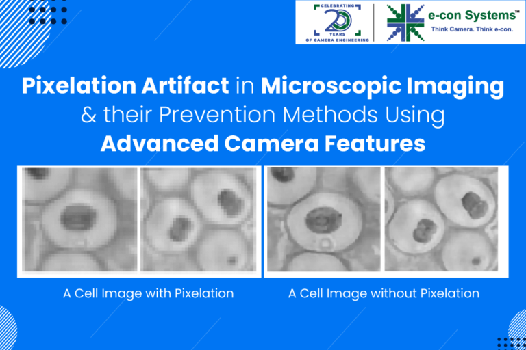 Pixelation Artifact in Microscopic Imaging and Their Prevention Methods ...