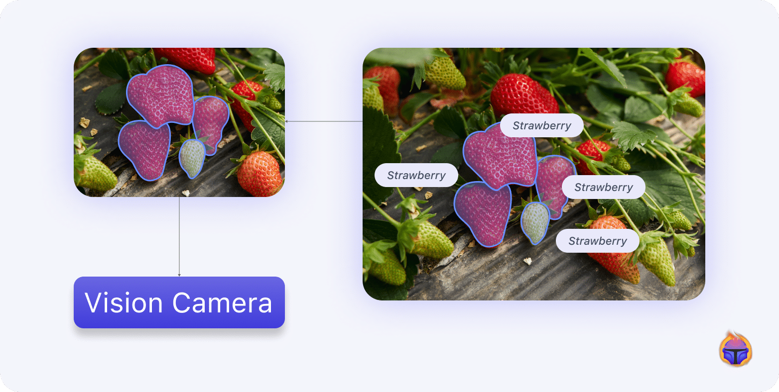 Top 4 Computer Vision Problems & Solutions in Agriculture — Part 2 ...